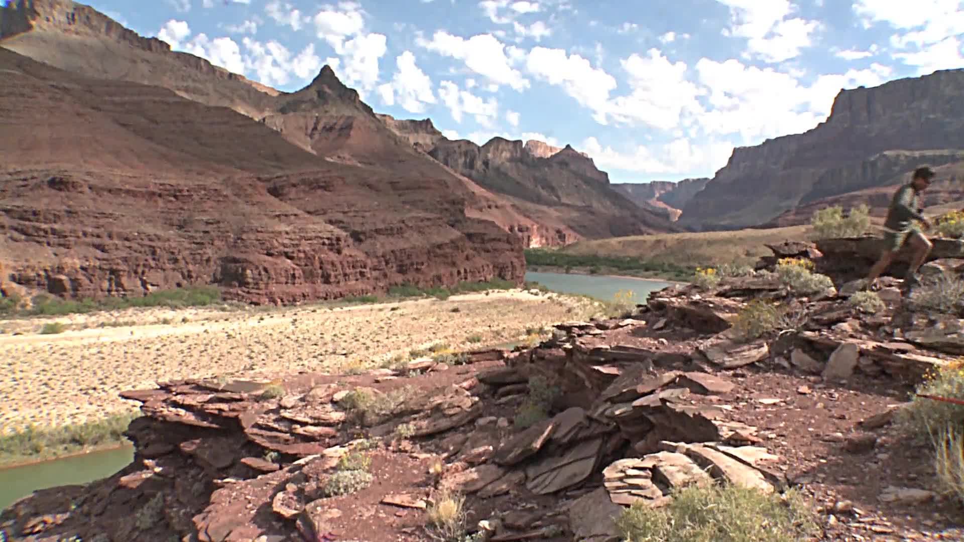 Born to Rewild - FilmFreeway